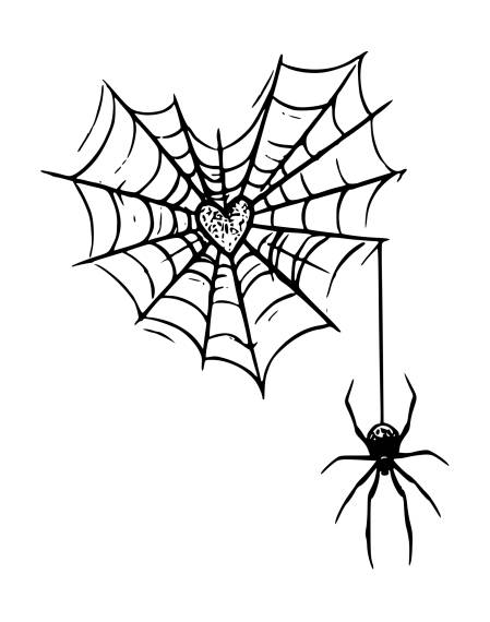 Heart Shaped Spider Web And Spider PNG Transparent SVG Vector | OnlyGFX.com